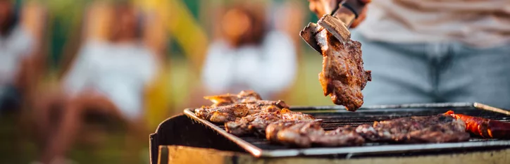 Keeping Insects Away From Your Barbecue | Alvin Pest Control